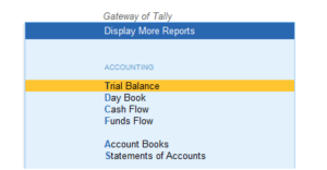 How to prepare Financial Statements from Trial Balance in Tally - Easy ...