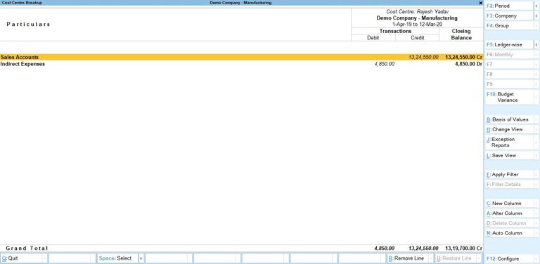 How to Prepare Cost Centre P&L Reporting in Tally & BI Tools - Easy Reports