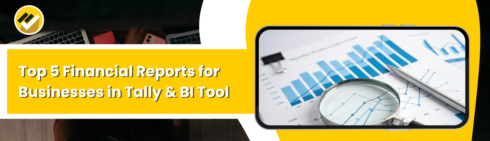 Top 5 Financial Reports for Businesses in Tally & BI Tool